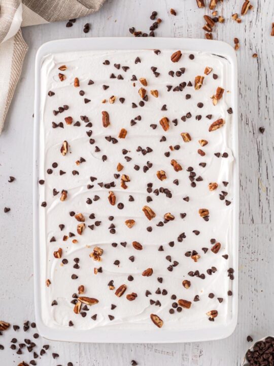 Layered Chocolate Lush with Pecan Crust - Feast and Farm