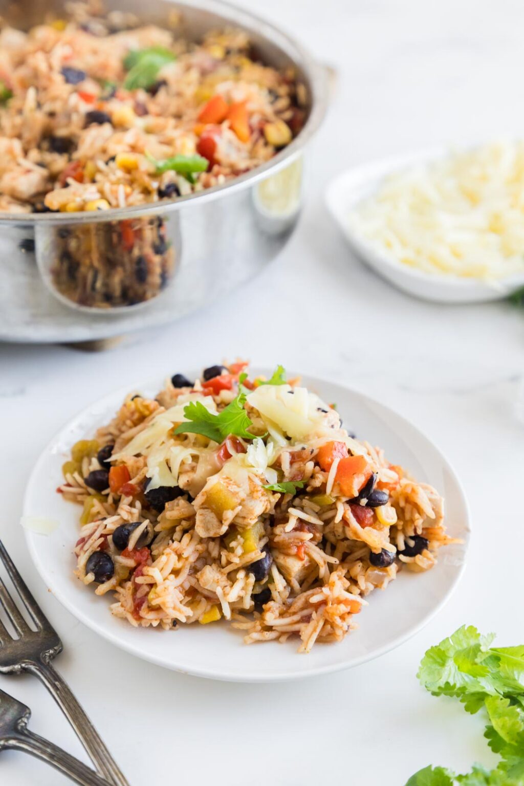 Fiesta Chicken | Feast and Farm
