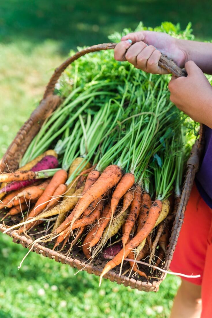 Kitchen-Tested Comfort Food Recipes for Busy Cooks | Feast and Farm